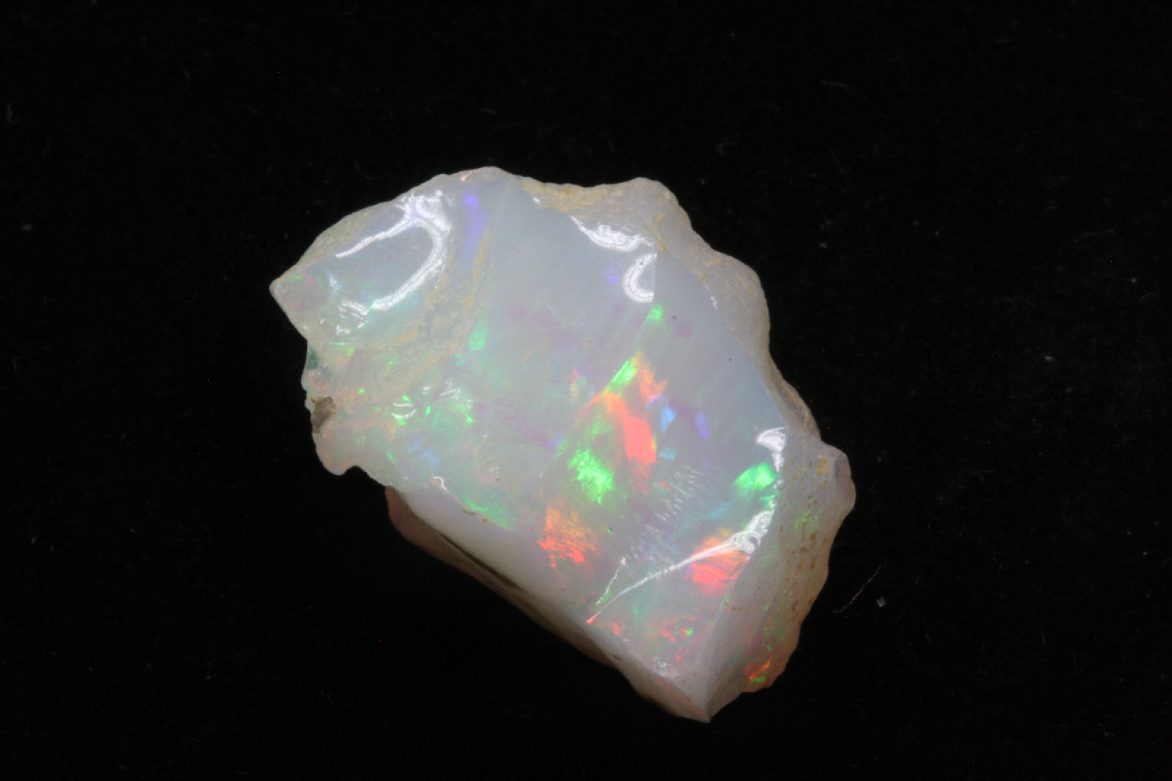 Opal Ethiopia 15,77ct 12 x 19 x 12mm fra Wegel Tena Wollo Pr. Ethiopia ...